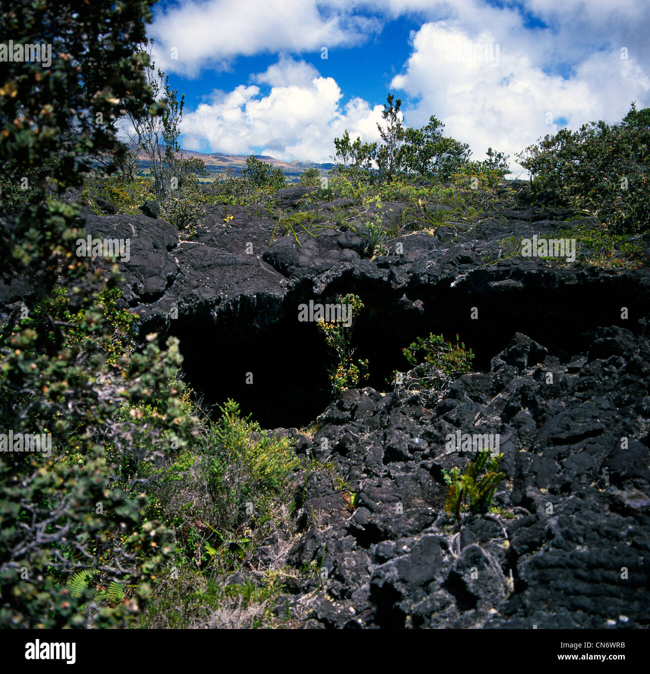 Black hole in volcanic lava crust Big Island Hawaii Stock Photo - Alamy