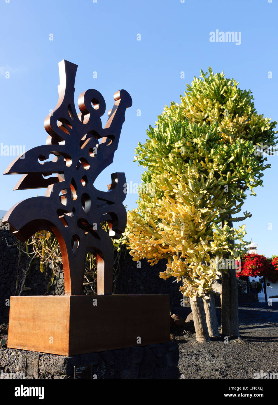 Lanzarote - garden of Casa César Manrique, museum of the Manrique ...