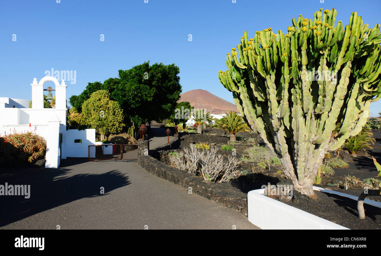 Lanzarote - garden of Casa César Manrique, museum of the Manrique ...