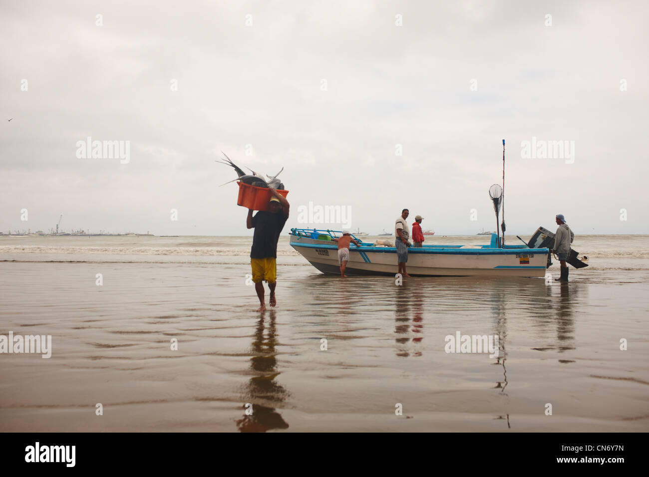 Fishermen brought fresh fish on the market, is discharged out of the ...