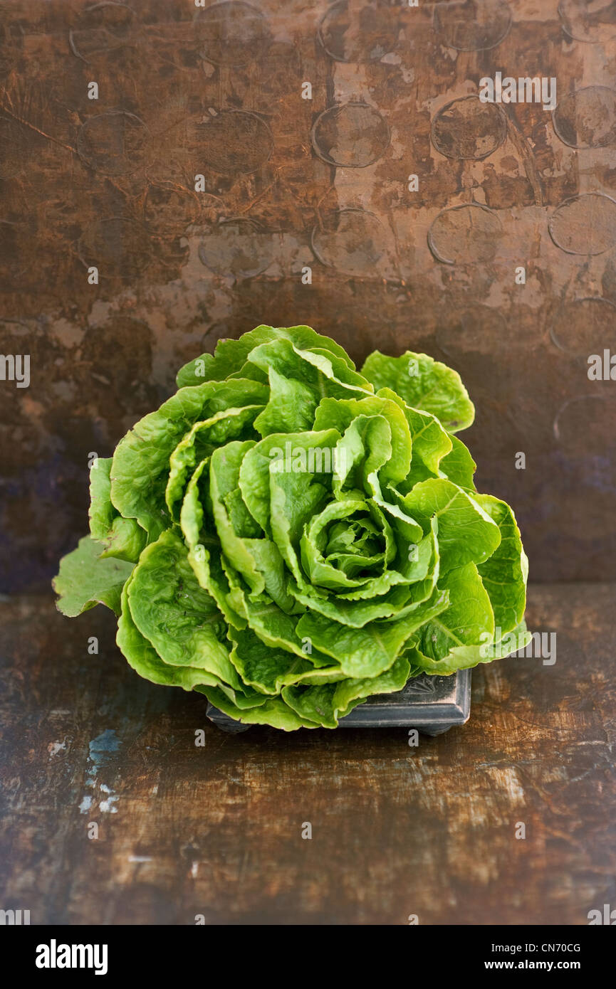 A whole head of fresh organic lettuce photographed in a textural brown ...