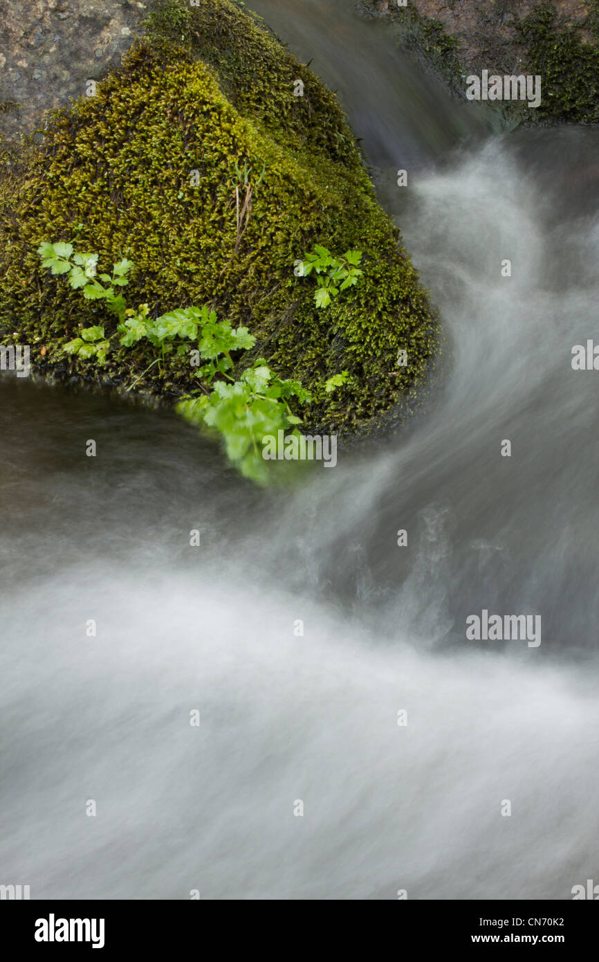 Rush flow hi-res stock photography and images - Alamy