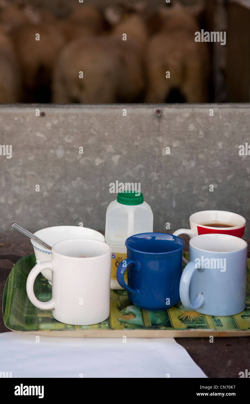 Tea Markets High Resolution Stock Photography and Images - Alamy