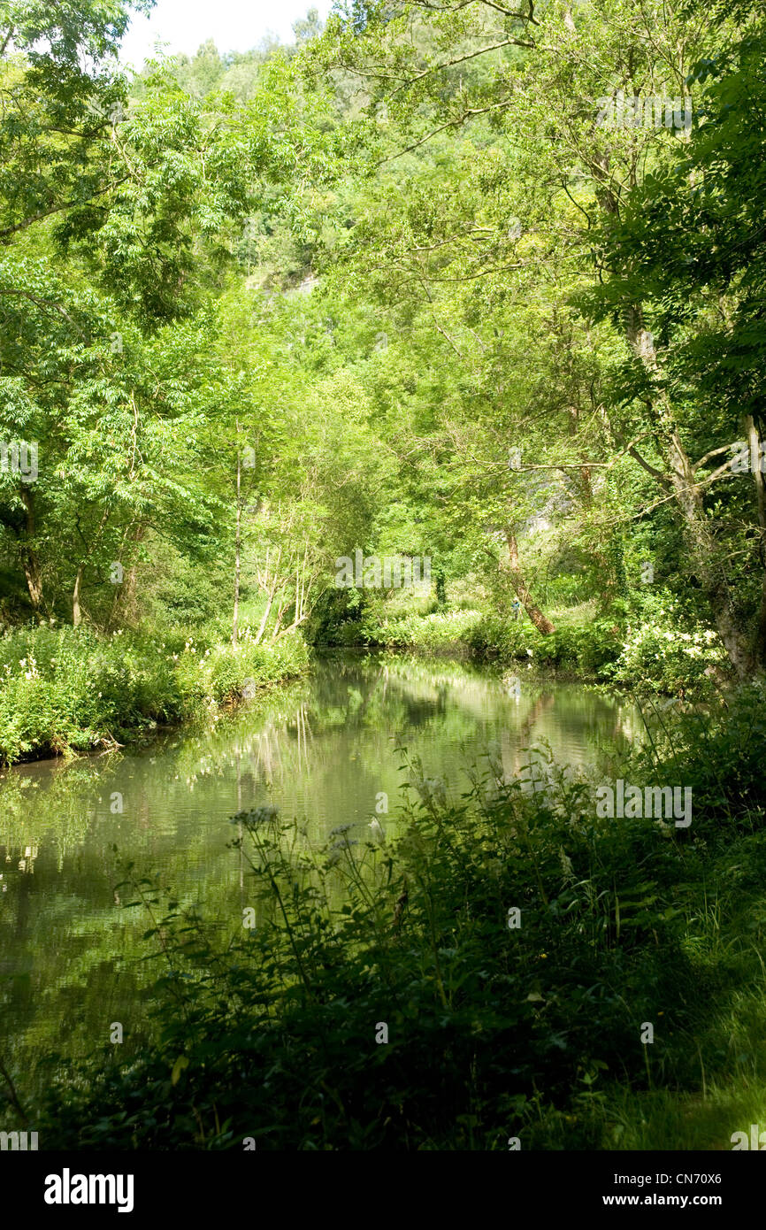 River Wye from the Monsal Trail near Cressbrook Mill in the Peak ...