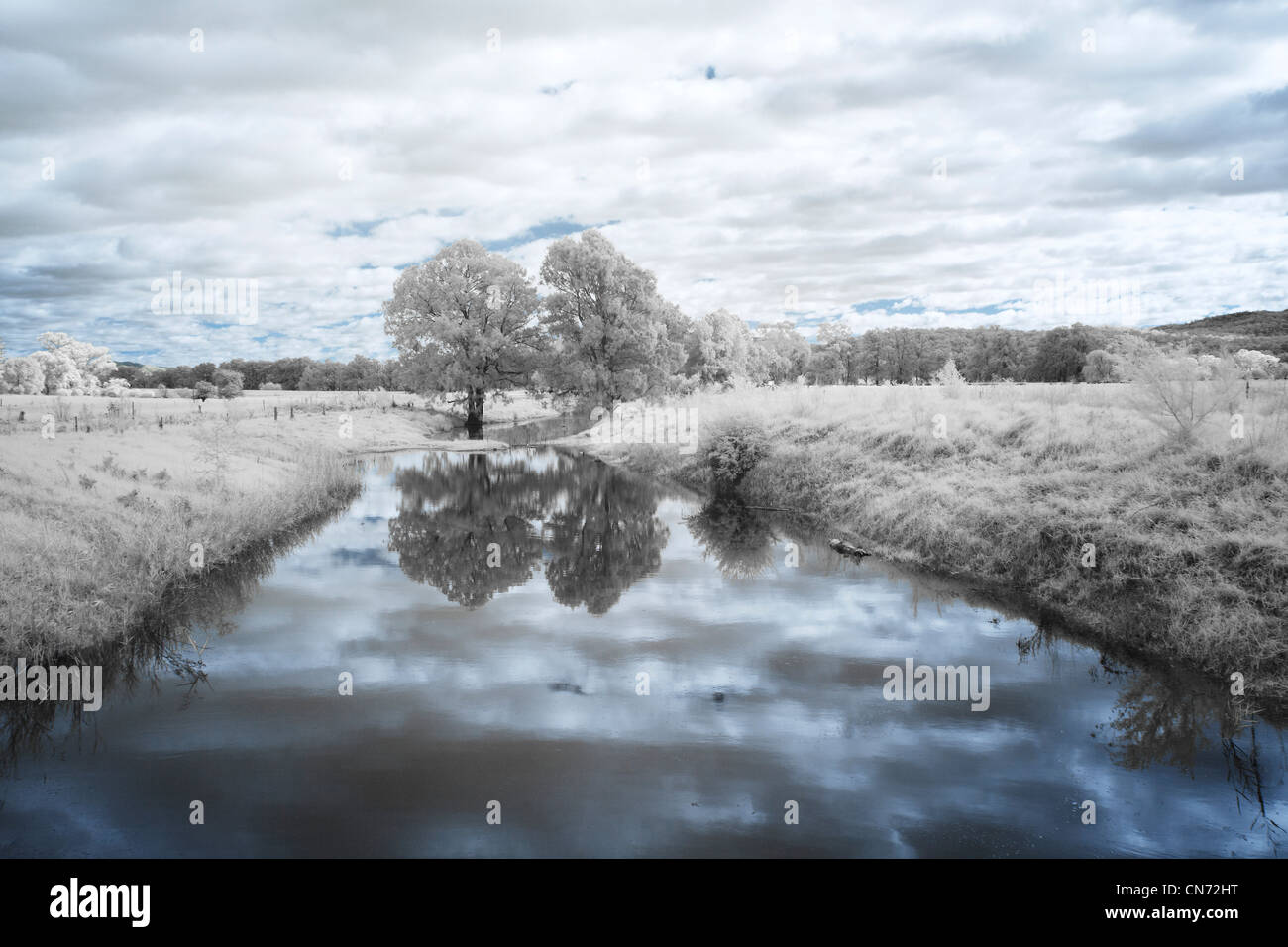 Bega nsw hi-res stock photography and images - Alamy