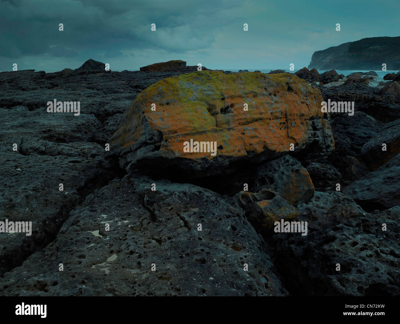 Australian lichen hi-res stock photography and images - Alamy