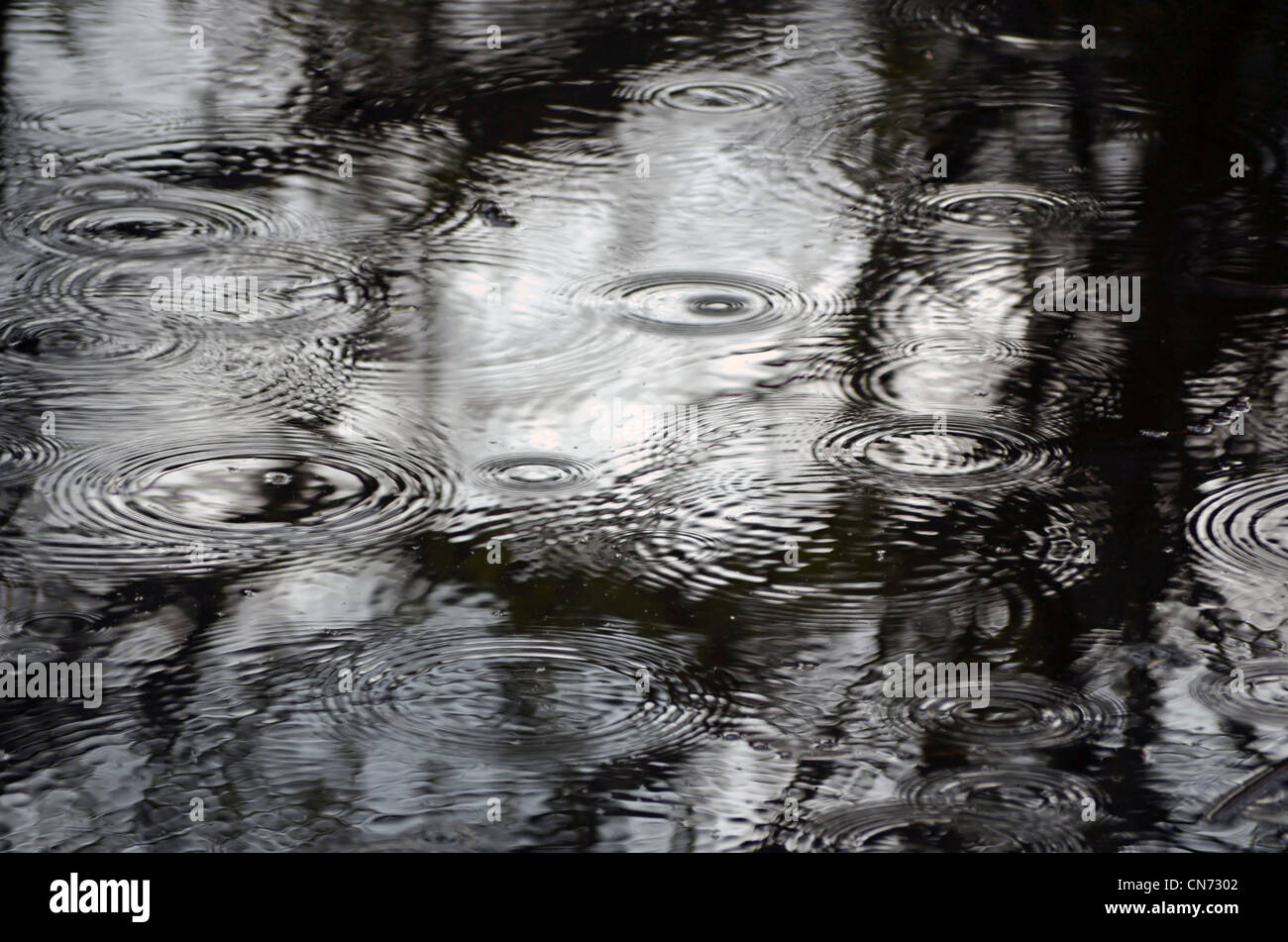 Rain water ponds hi-res stock photography and images - Alamy