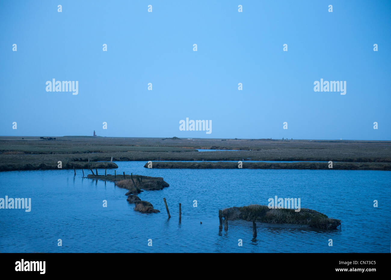 Blue hour of the early morning at Hallig Langeness, a tiny island in ...
