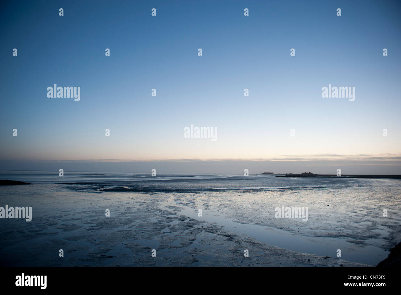 Hallig island hi-res stock photography and images - Alamy