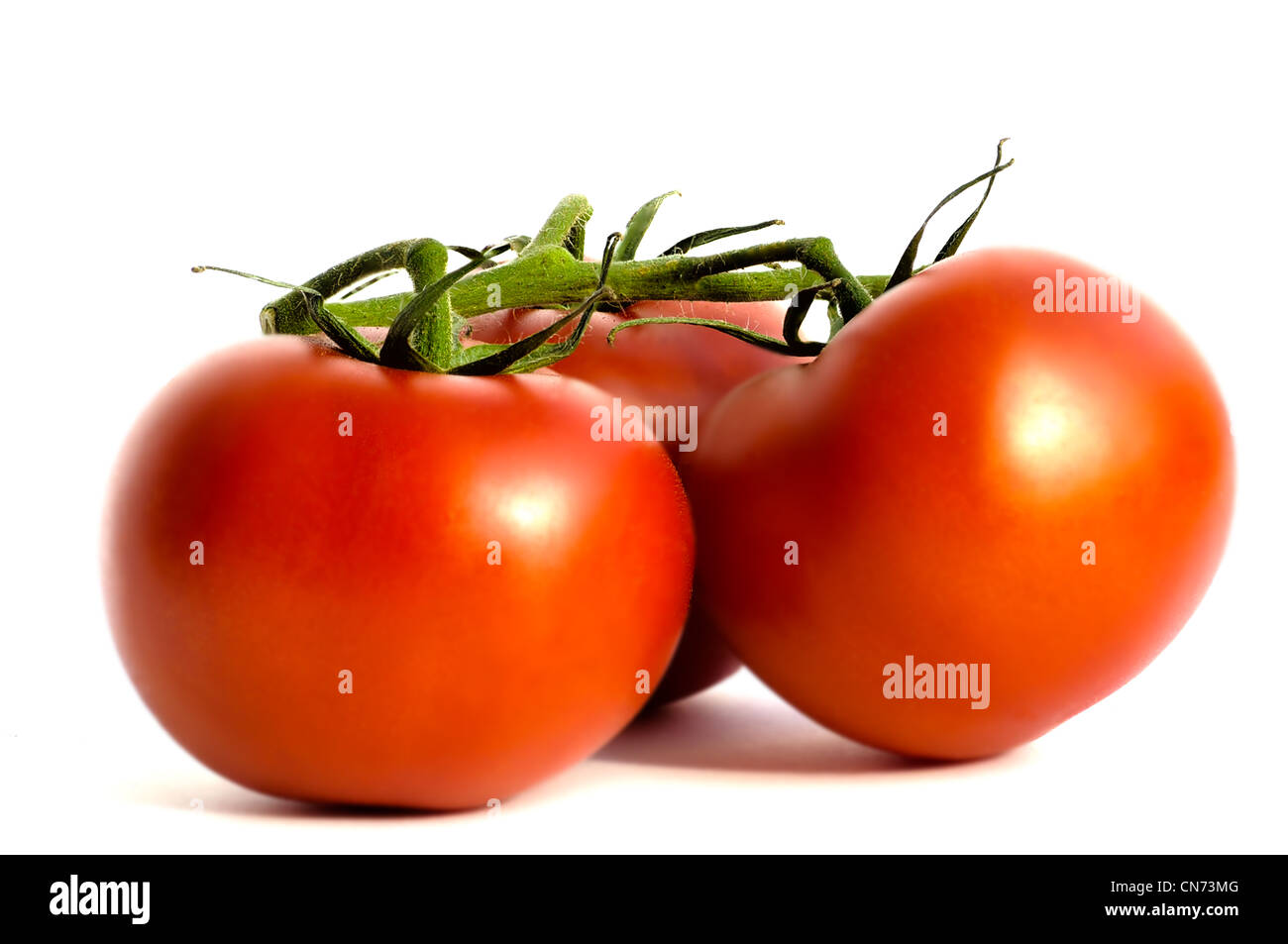 Tomato red vegetable bubble hi-res stock photography and images - Alamy