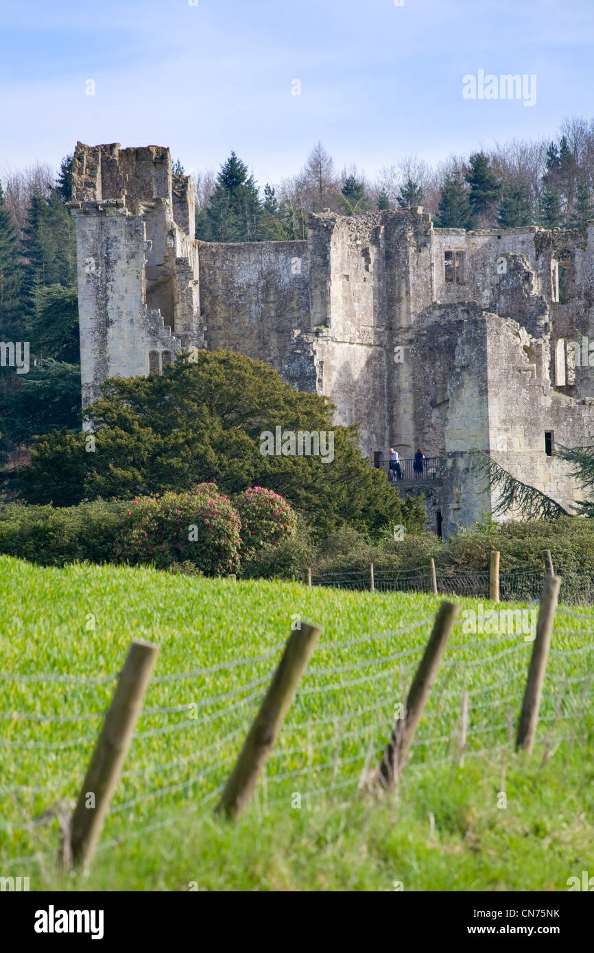 Old Wardour Castle, Wiltshire Stock Photo - Alamy