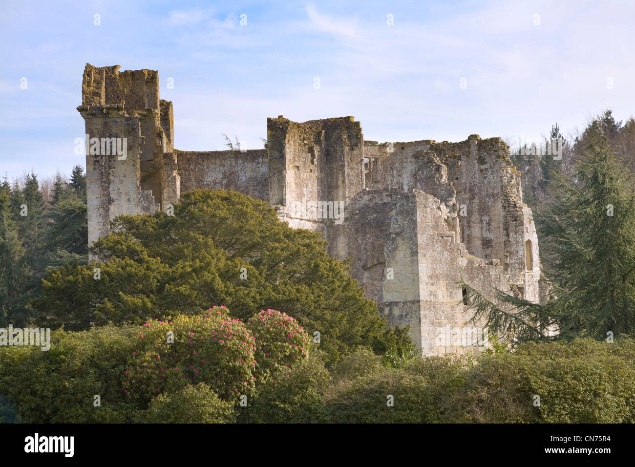 Old Wardour Castle, Wiltshire Stock Photo - Alamy