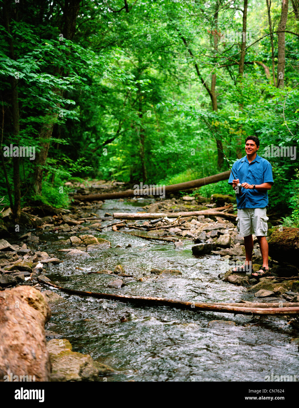 Halton falls hi-res stock photography and images - Alamy