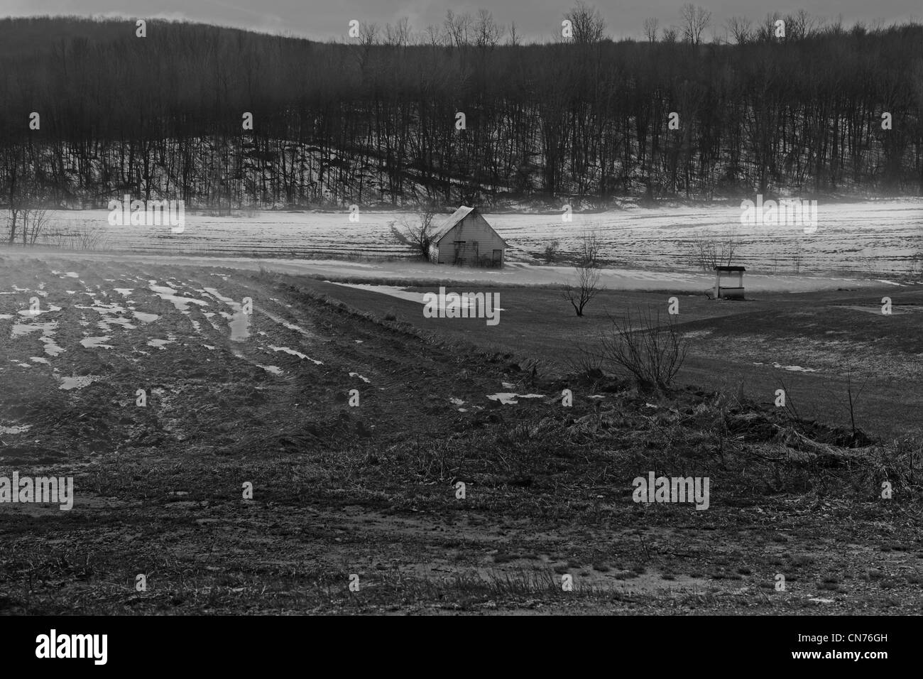 Morning with economy Black and White Stock Photos & Images - Alamy