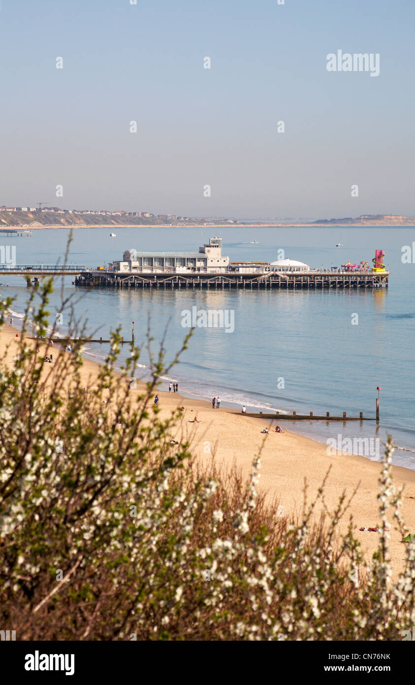 Bournemouth Pier and beach in March with spring blossom Stock Photo - Alamy