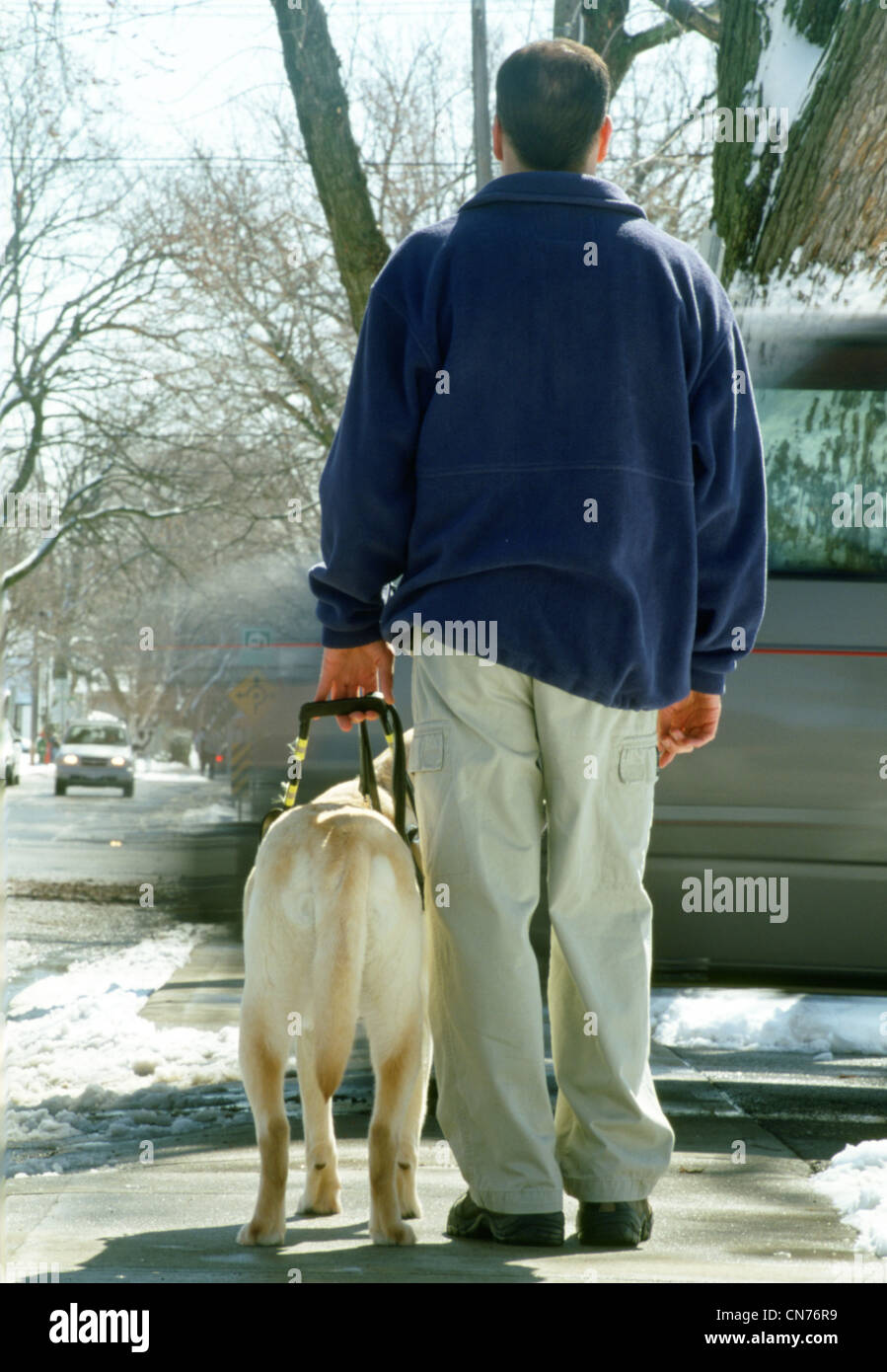 Man seeing eye dog hi-res stock photography and images - Alamy