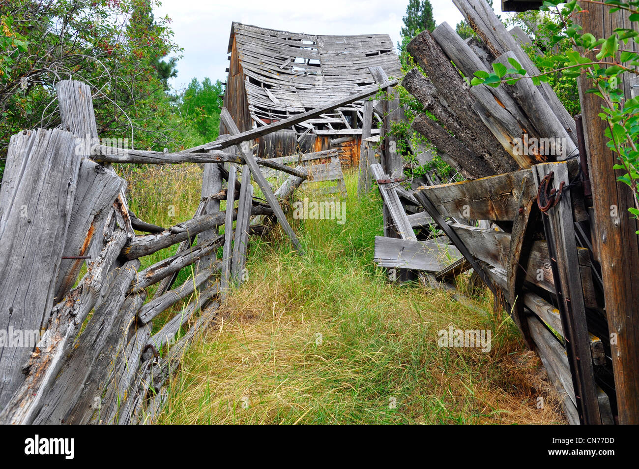 Old cattle barn hi-res stock photography and images - Alamy