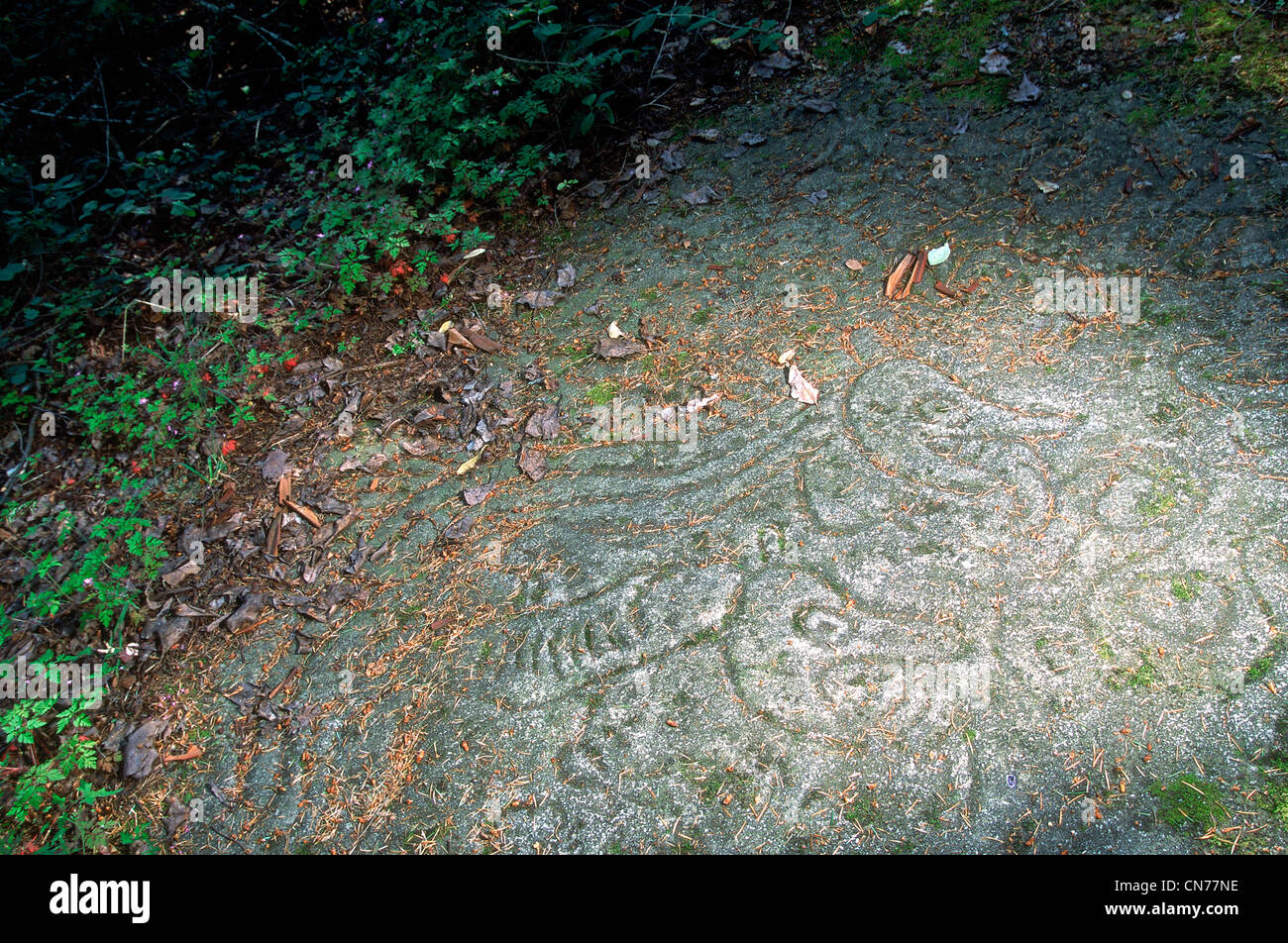 First Nations Petroglyphs (mythological sea creatures and wolves ...