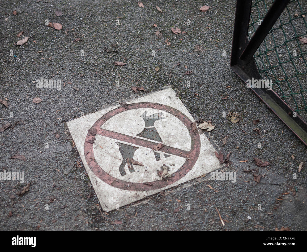 Dog no entry sign on tarmac in park Stock Photo - Alamy
