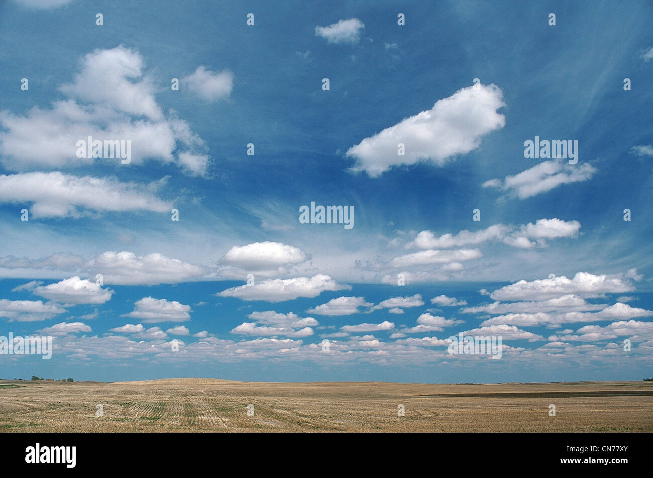 Empty Field and Sky, Weyburn, Saskatchewan, Canada Stock Photo - Alamy