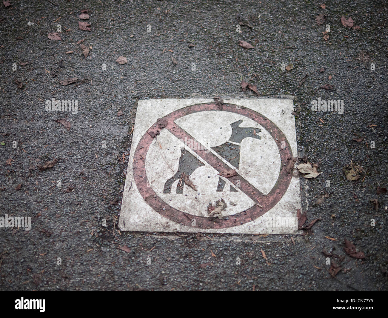 Dog no entry sign on tarmac in park Stock Photo - Alamy
