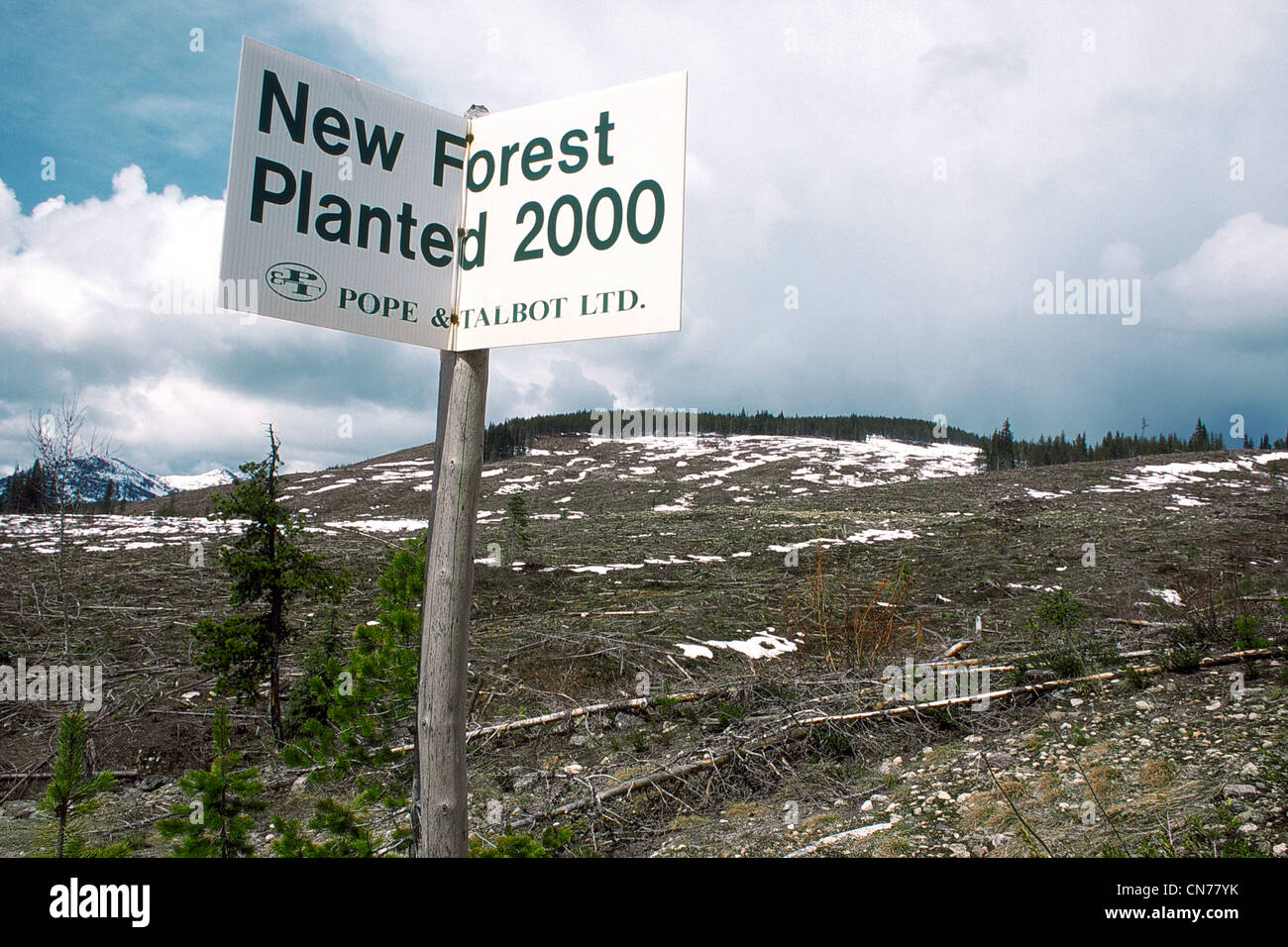 New forest sign hi-res stock photography and images - Alamy