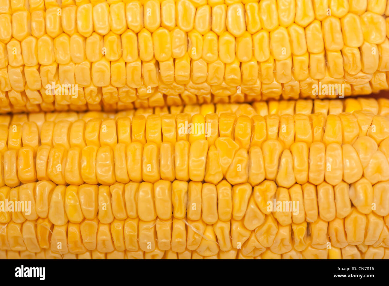 Maize close up Stock Photo - Alamy