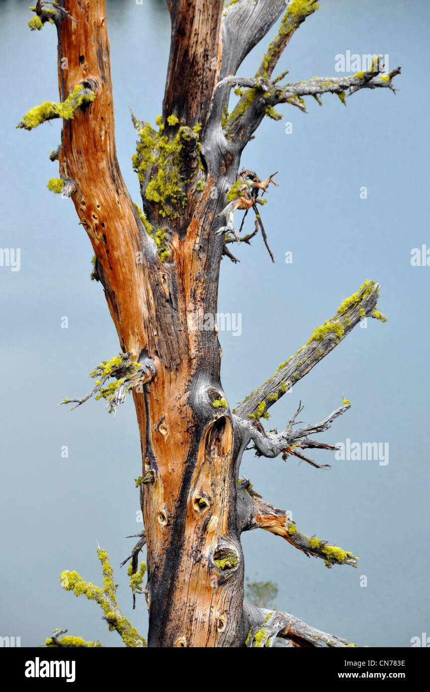 Dead mountains hi-res stock photography and images - Alamy
