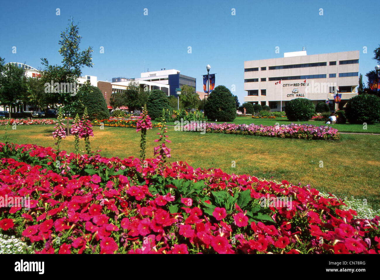 Red deer city alberta hi-res stock photography and images - Alamy