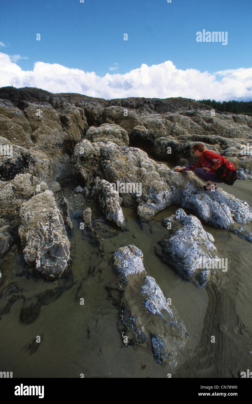 Pacific rim national p hi-res stock photography and images - Alamy