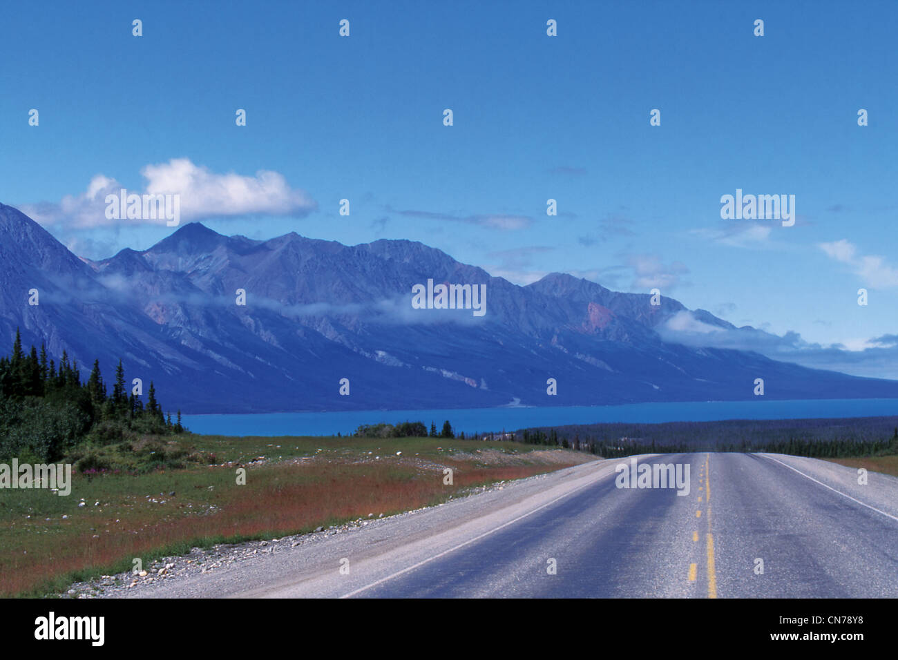 Kluane National Park, Kluane Lake, Yukon, Canada Stock Photo - Alamy