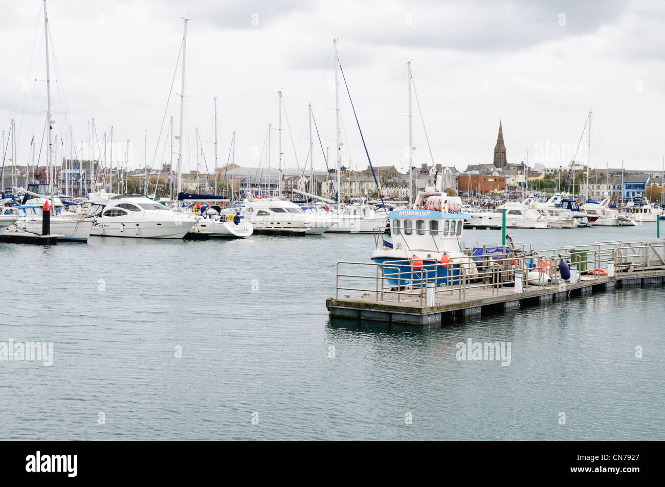 Yachts in Bangor marina Stock Photo - Alamy