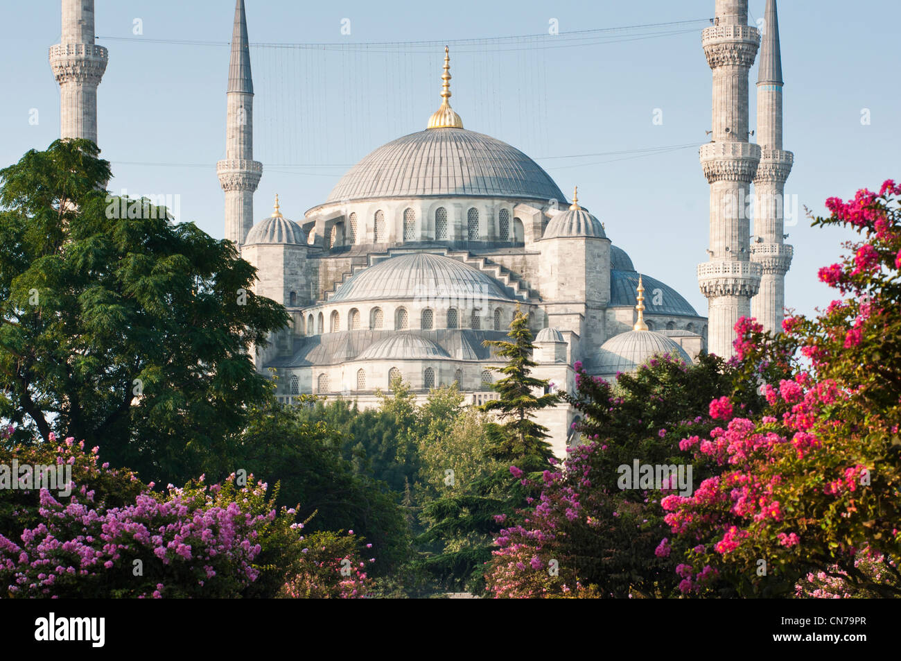 Blue mosque istanbul close up hi-res stock photography and images - Alamy