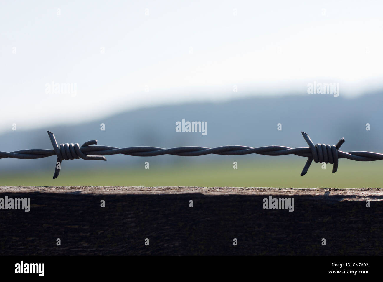Barbed wire detail close up in portrait with countryside scene in ...