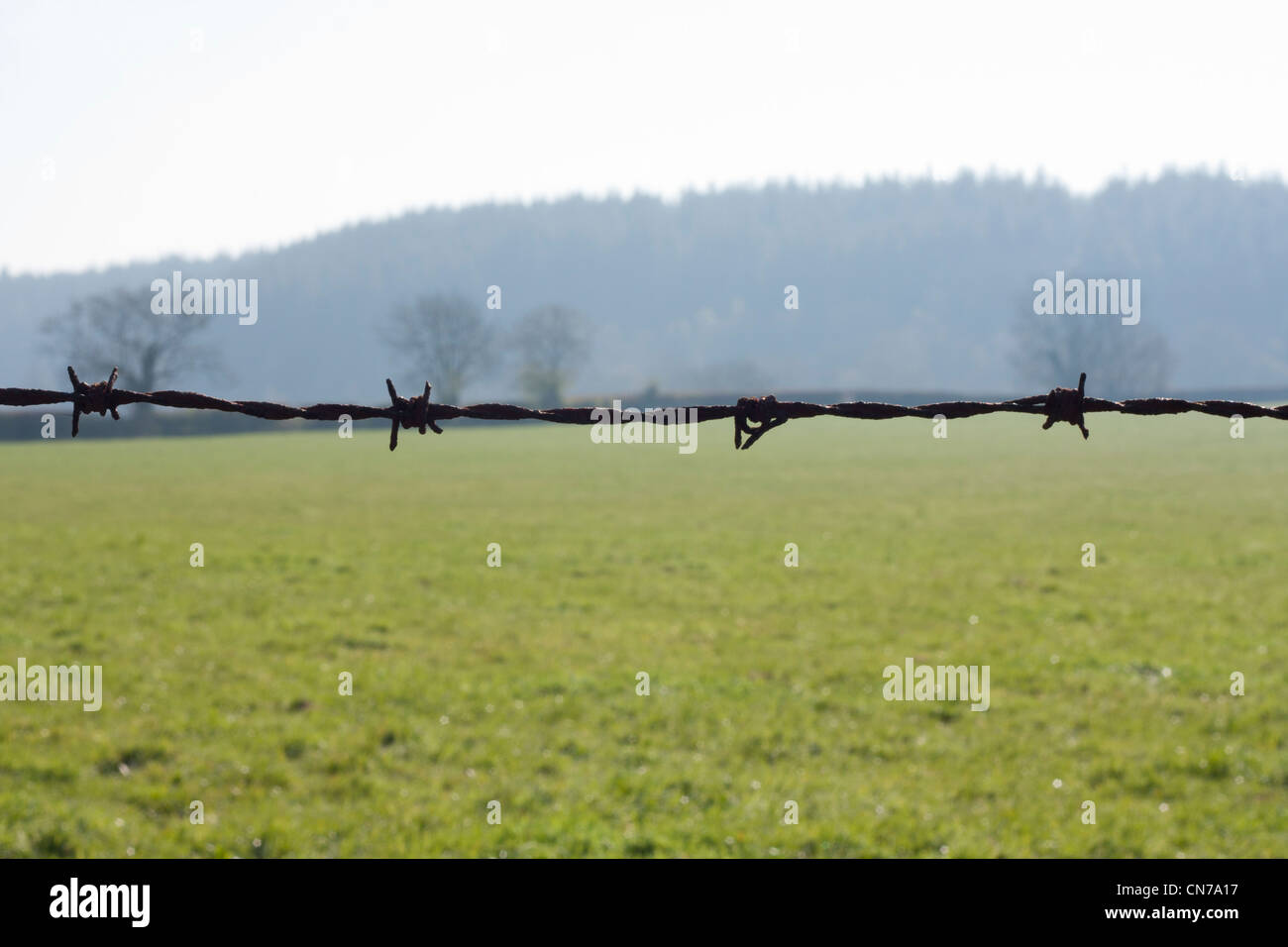 Landscape. Barbed wire detail with countryside scene in background with ...