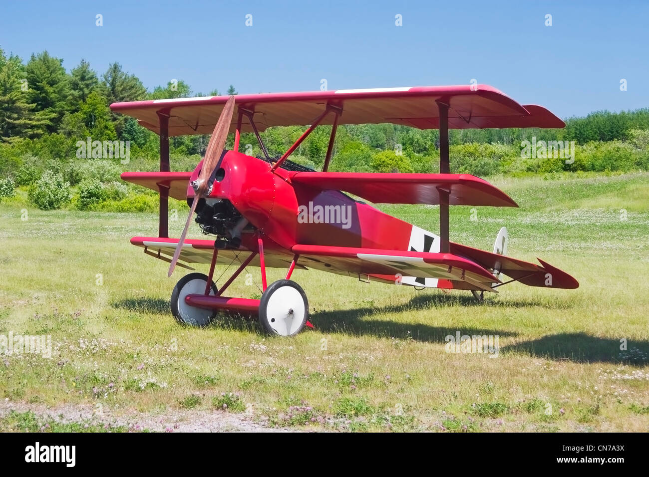 World War One Red Barron 1917 Fokker Dr.1 triplane airplane Stock Photo ...