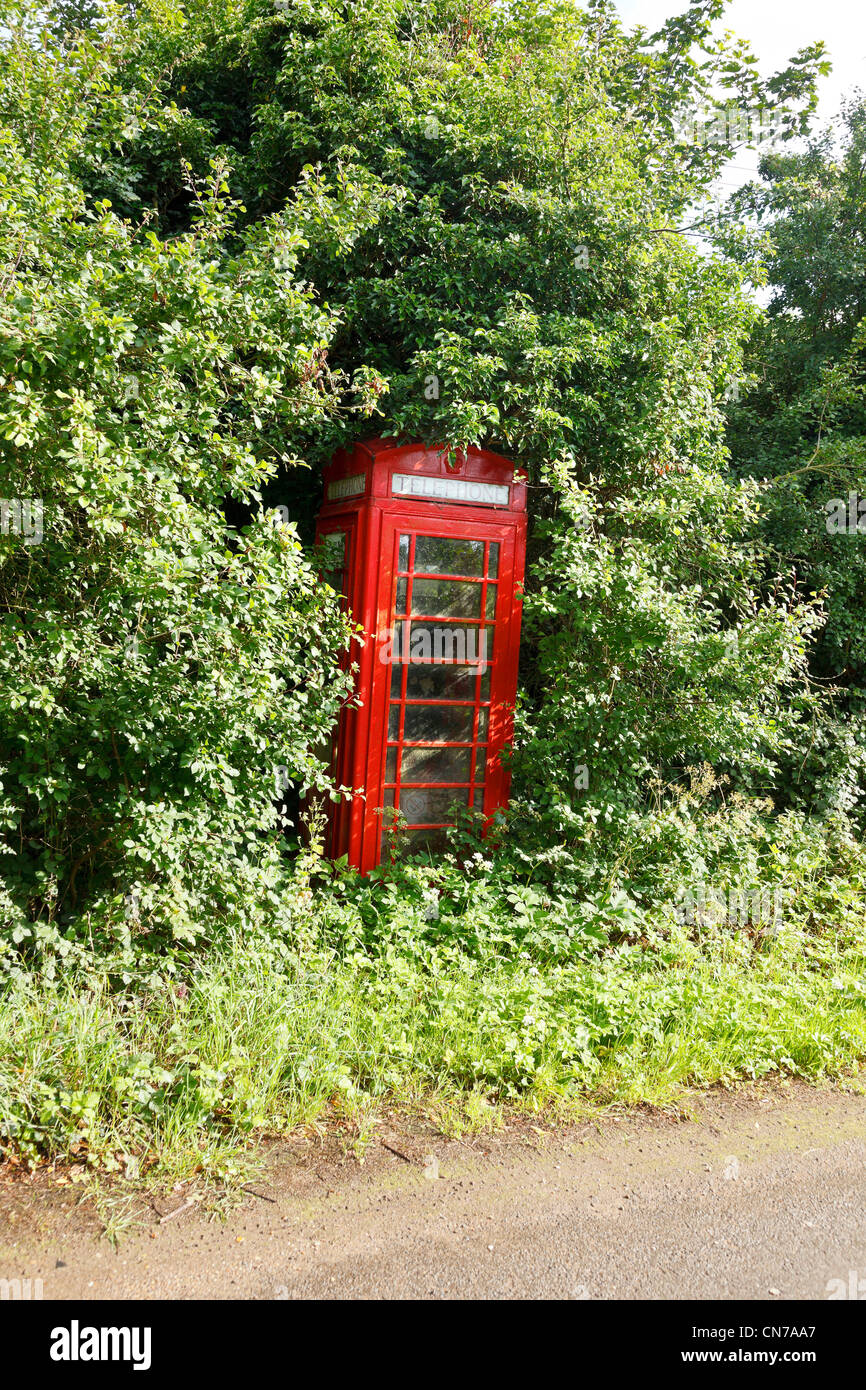 Phone box with weeds hi-res stock photography and images - Alamy