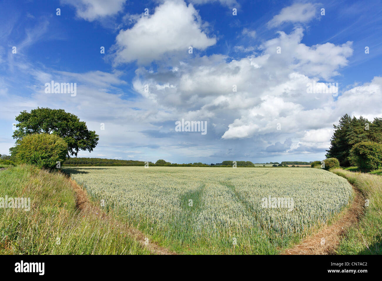 Promotional aspect hi-res stock photography and images - Alamy