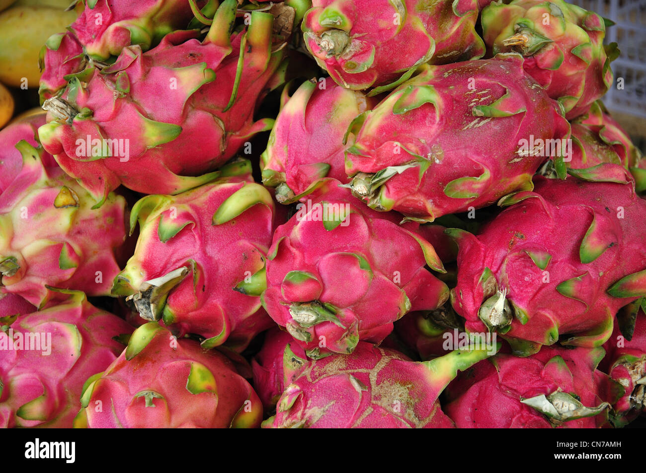 Dragon fruit display in street market, Sisavangvong Road, Luang Prabang ...