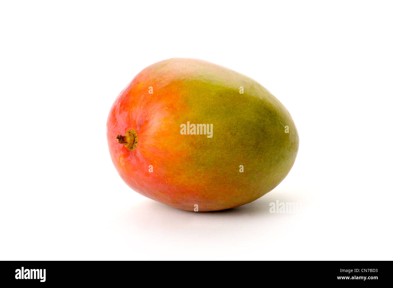 one single mango on white background Stock Photo - Alamy