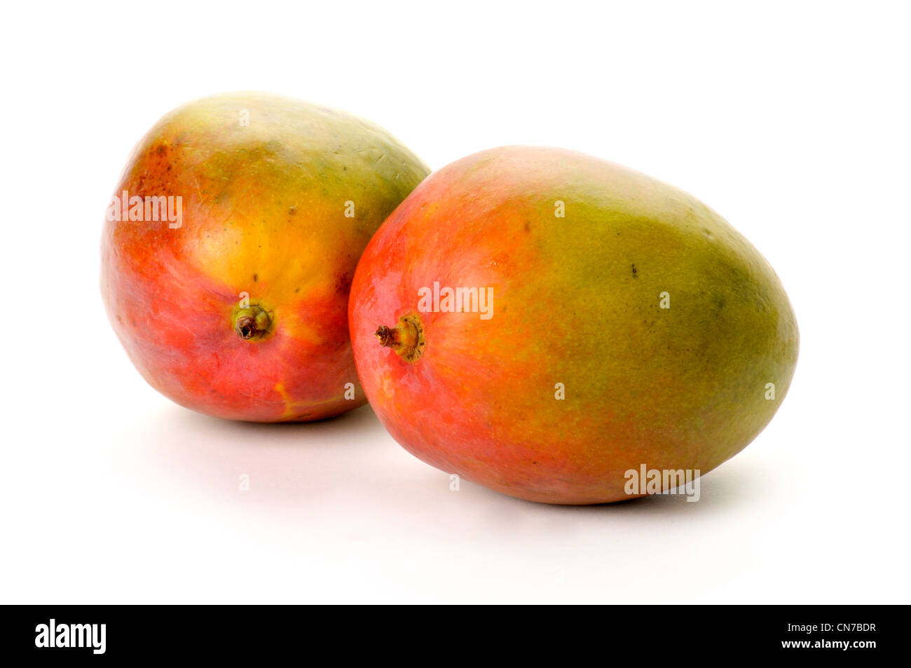two fresh mangos on white background Stock Photo - Alamy