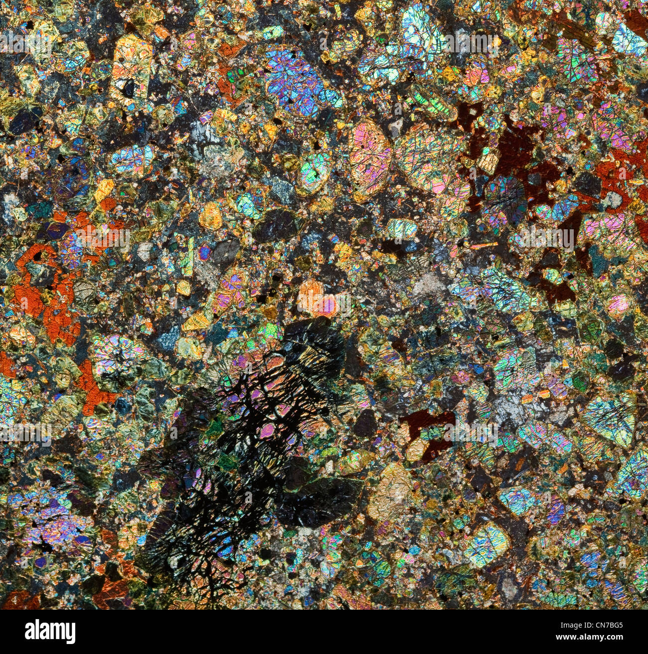 Photomicrograph, polarized lighting, slide section Igneous picrite ...