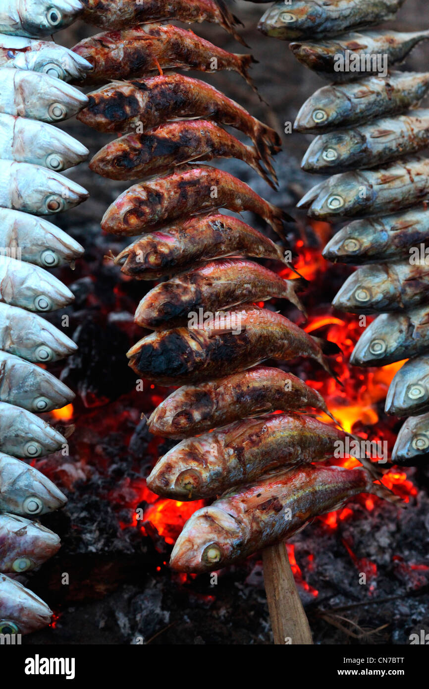 Several fishes lined up grilling in the fire at a typical and remote ...