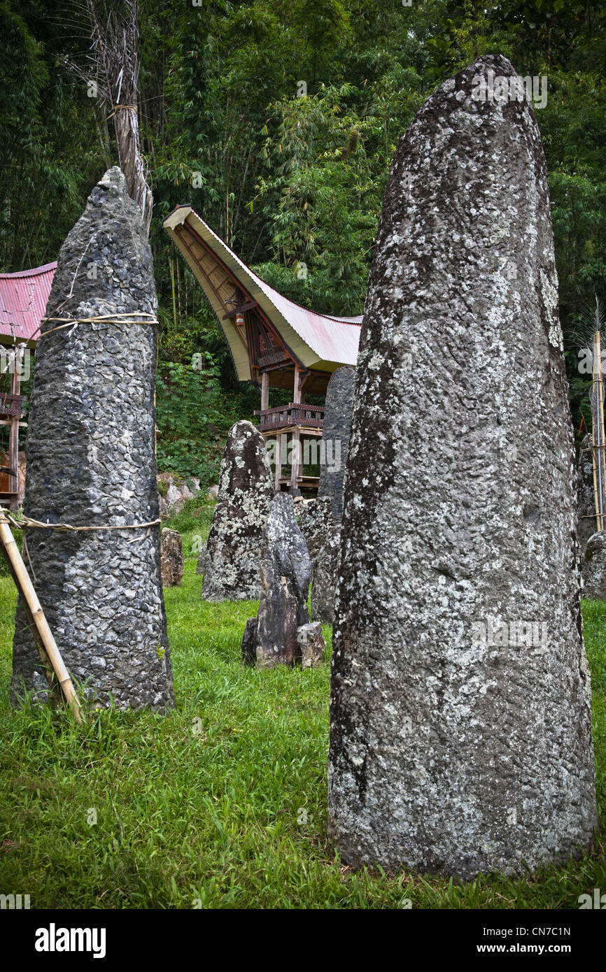 Indonesia, Sulawesi, Tana Toraja area, Bori village, stone megalith ...