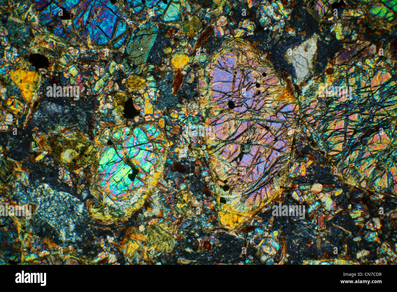 Photomicrograph, polarized lighting, slide section Igneous picrite ...