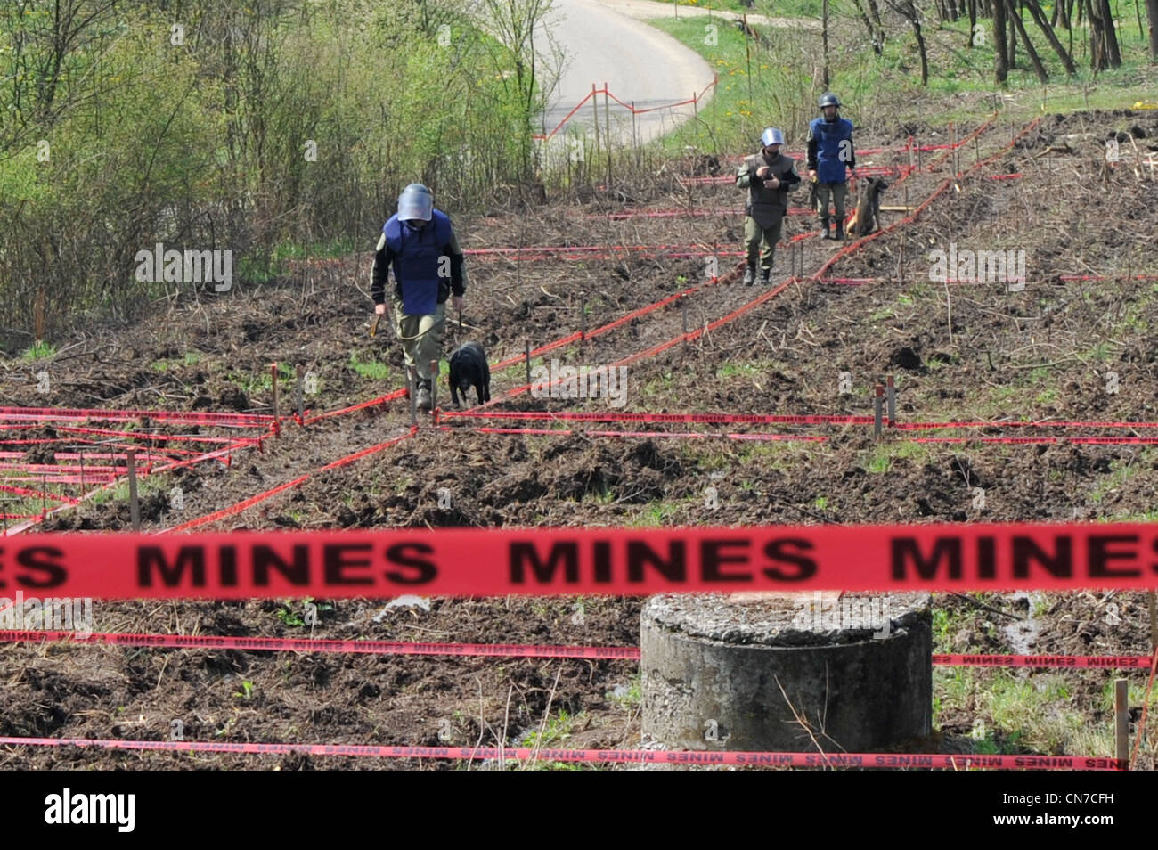 Landmine clearance in Bosnia Stock Photo - Alamy