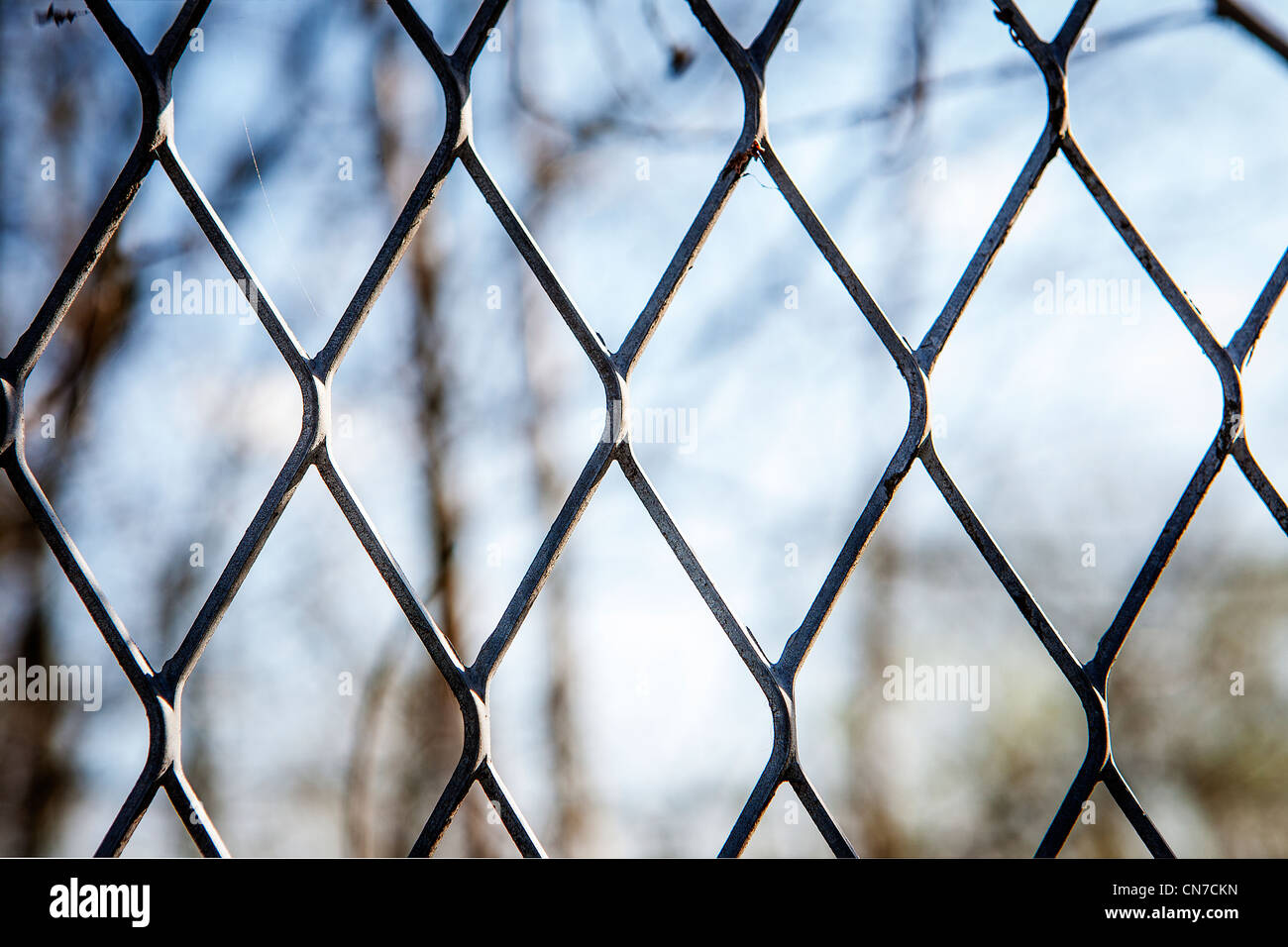 Iron wire fence in front of a forest of trees Stock Photo - Alamy