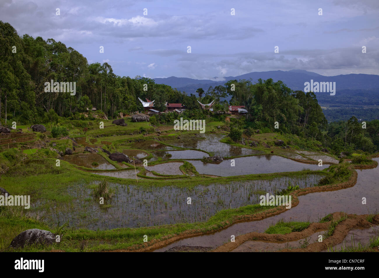 Indonesian villages hi-res stock photography and images - Alamy