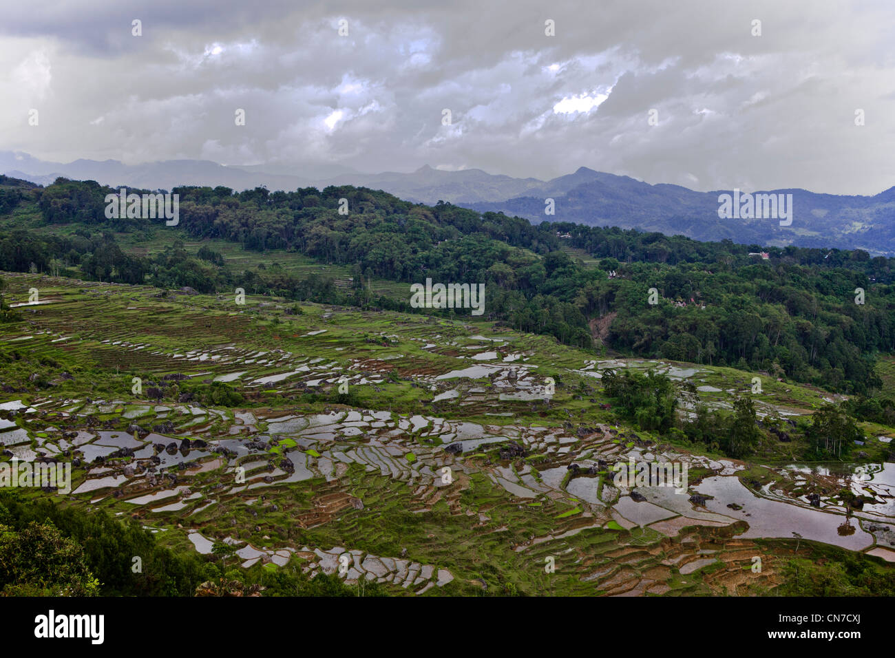 Panorama of terrace fields and villages, Java, Bali, South Pacific ...