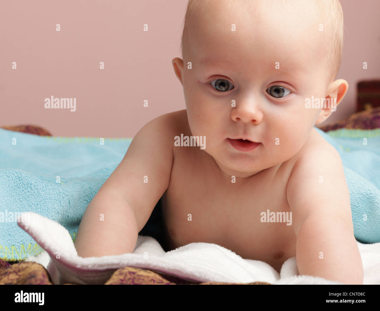 portrait of 6 months male child baby boy in blue eye Stock Photo - Alamy